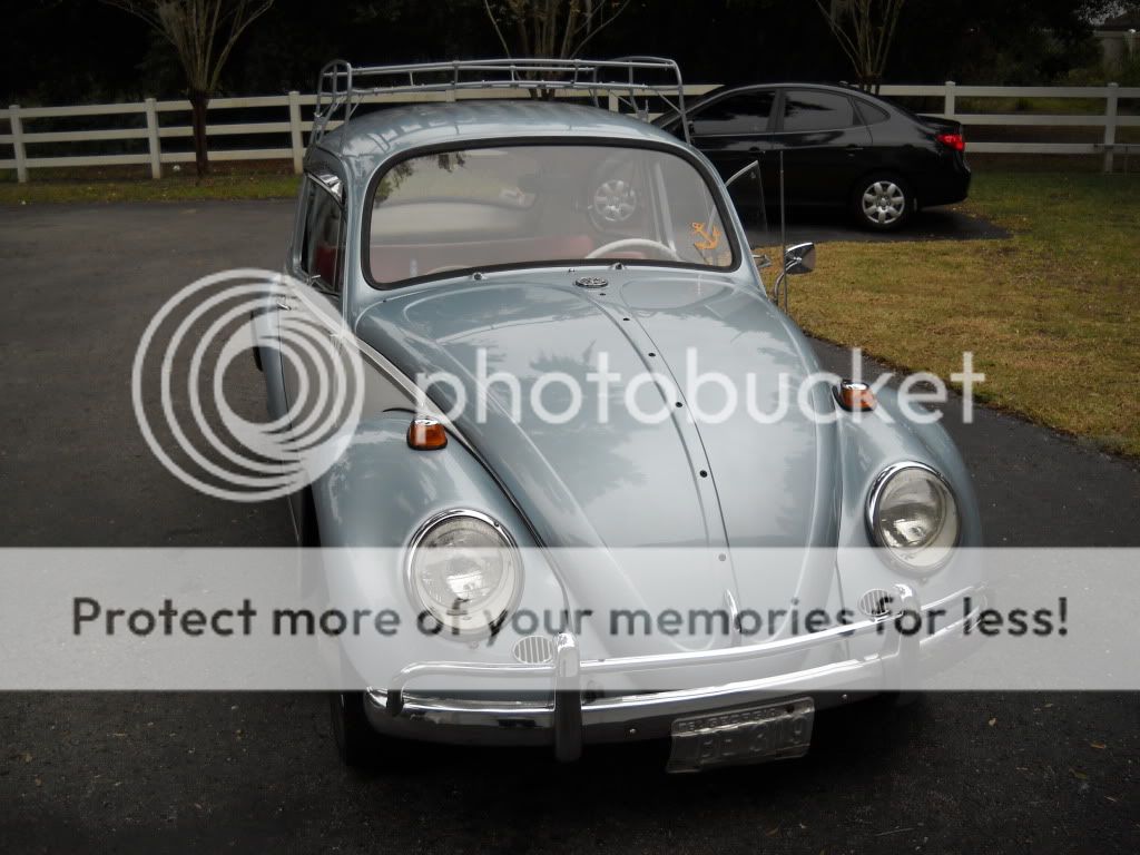 clean 65 bug for sale!! $6500 O.B.O | VW Vortex - Volkswagen Forum